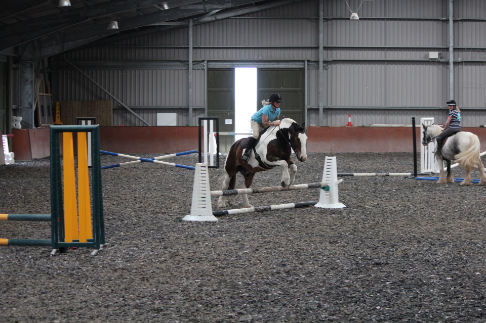 Jumping George (Day 1543) | PorridgeWog | Blipfoto