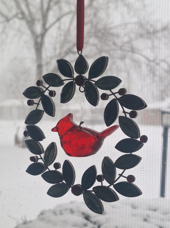 A Wednesday White-out | outdoorguy | Blipfoto