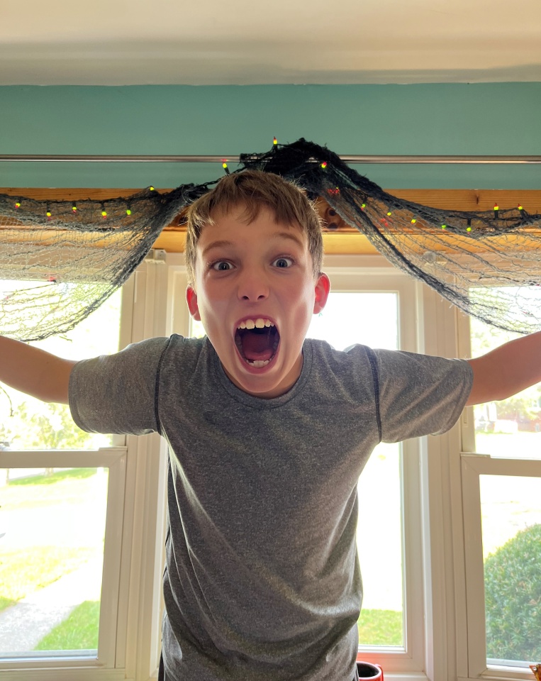 Halloween Decorating Turns Scary | TurtleBug | Blipfoto