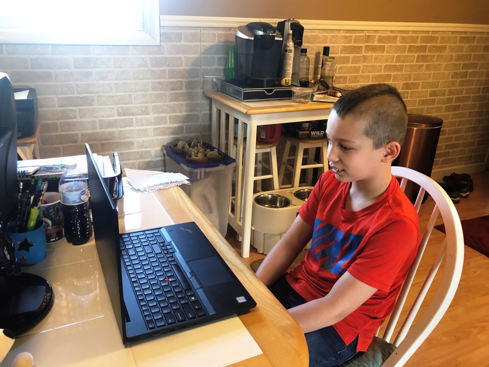 First Zoom Meeting | TurtleBug | Blipfoto