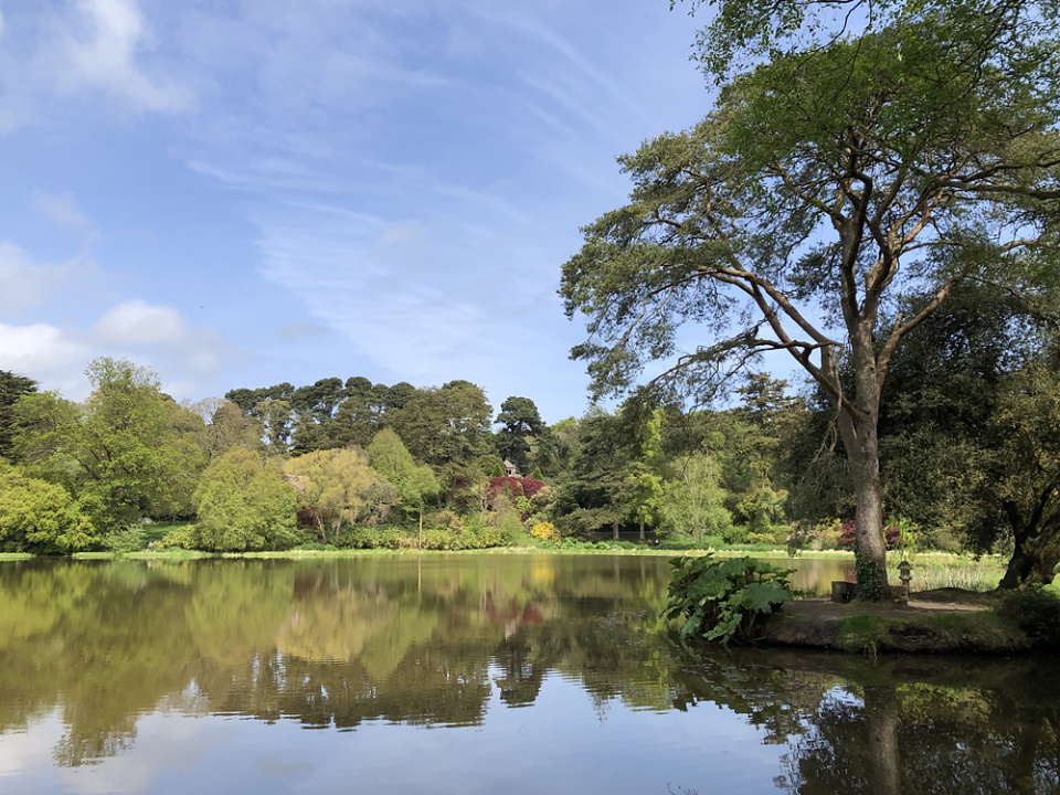 Quare day! | Cygnus | Blipfoto