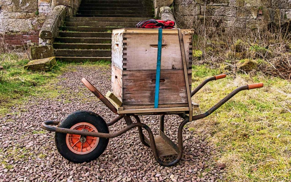 A Barrow Load of Bees. | TrikinDave | Blipfoto