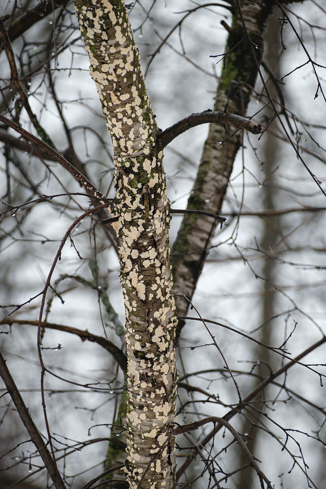 Thawing Out | MikeWest | Blipfoto
