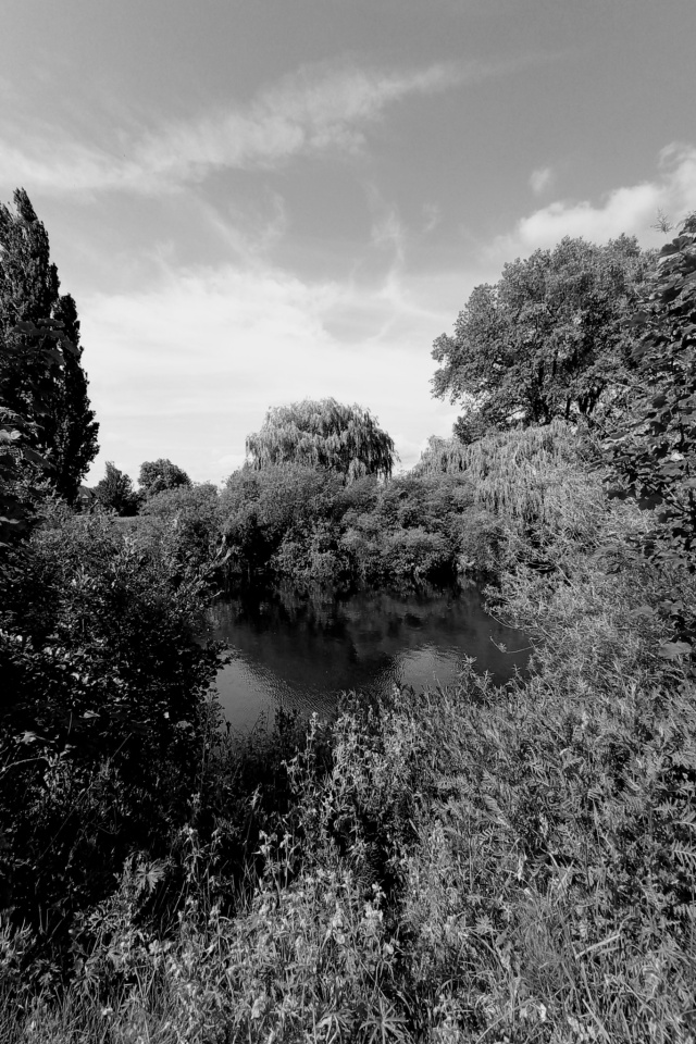 Ampere | middleman | Blipfoto