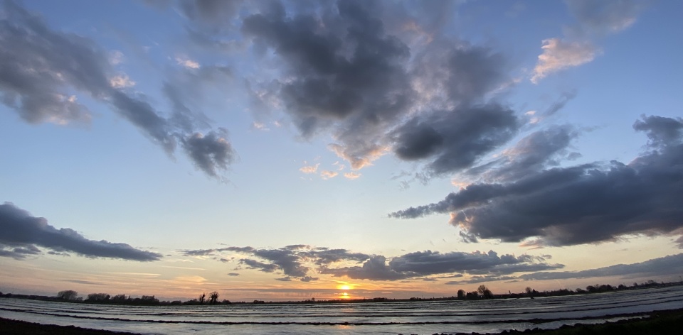 Beautiful | Alison666 | Blipfoto