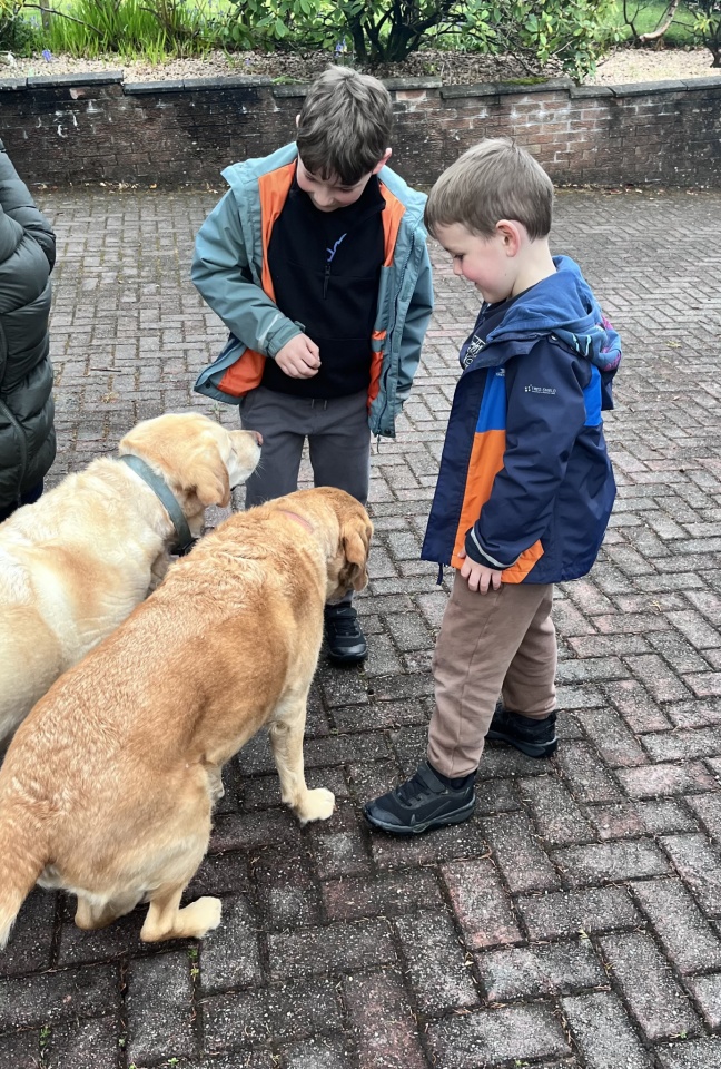 Making friends | CherryR | Blipfoto