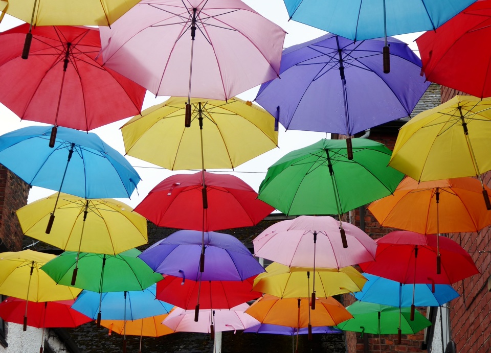 Floating umbrellas | NatureWatcher | Blipfoto