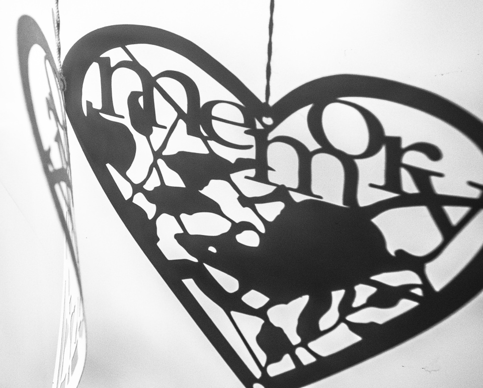 RIP Rat! | Madchickenwoman | Blipfoto