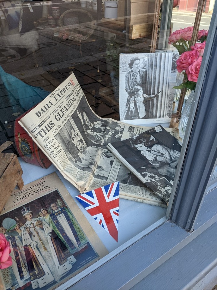 Topical window display | biblinros | Blipfoto