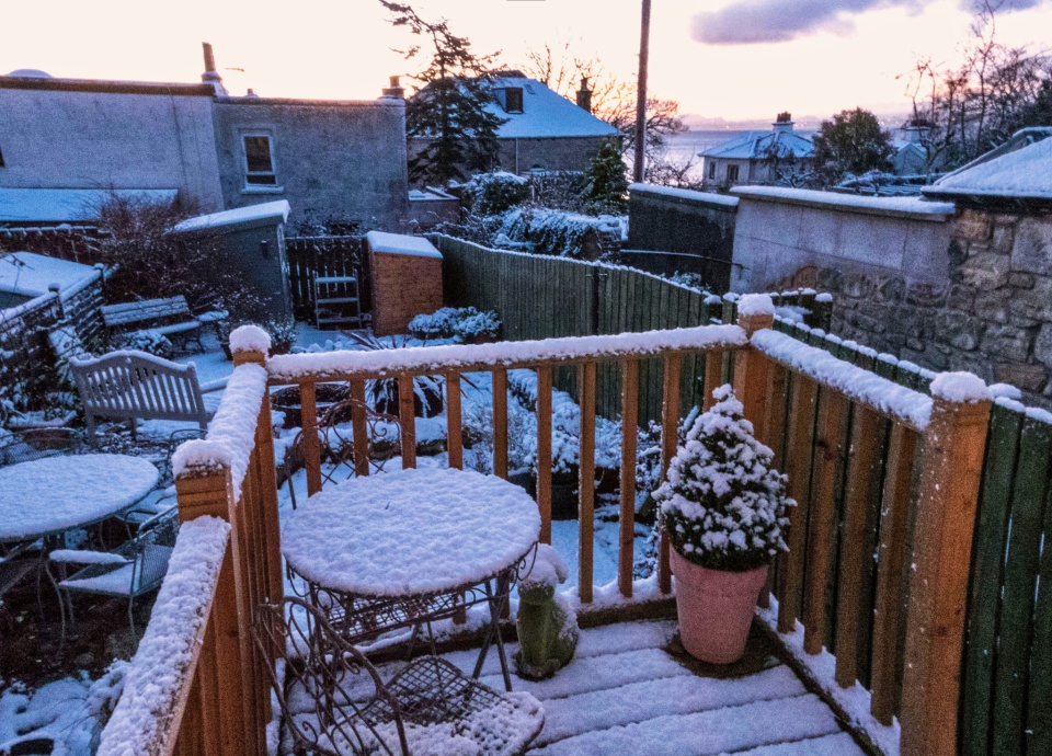 Snow in the back garden | frequentframes | Blipfoto