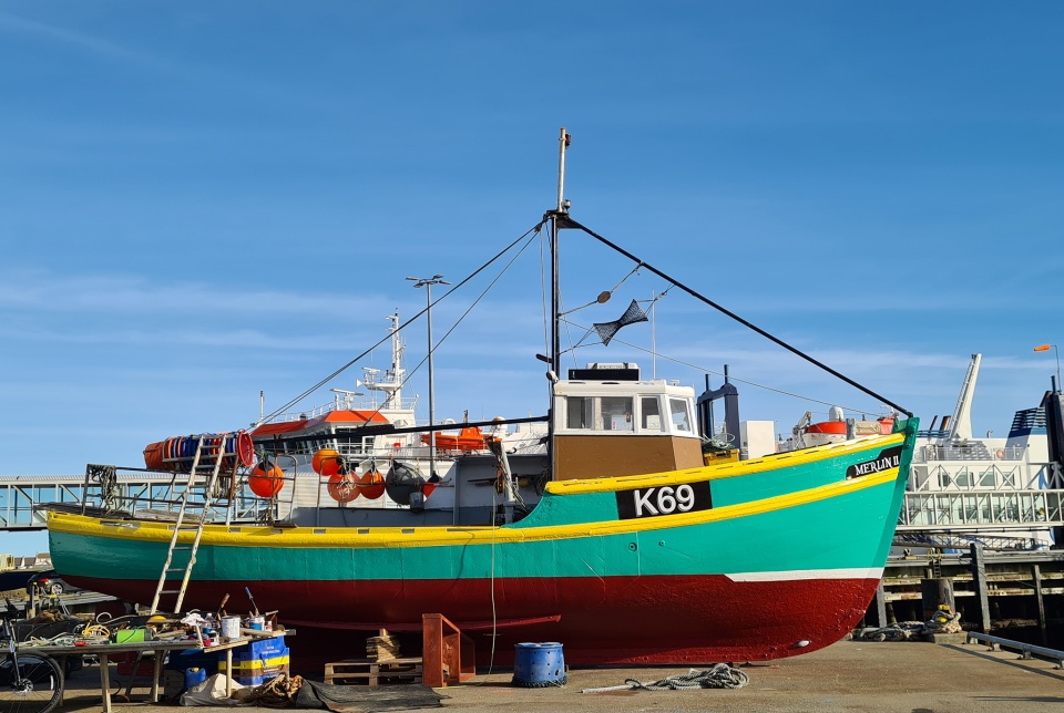 K69 - MERLIN II | EllyJay | Blipfoto