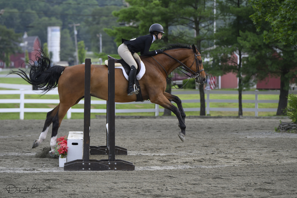 Hunting | dbifulco | Blipfoto