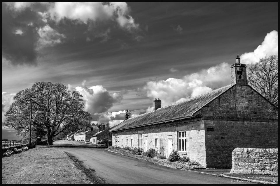 To Capheaton ... | RobinDown | Blipfoto