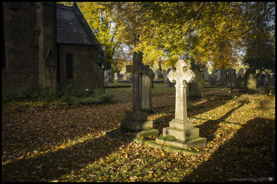 Light and shade ... | RobinDown | Blipfoto