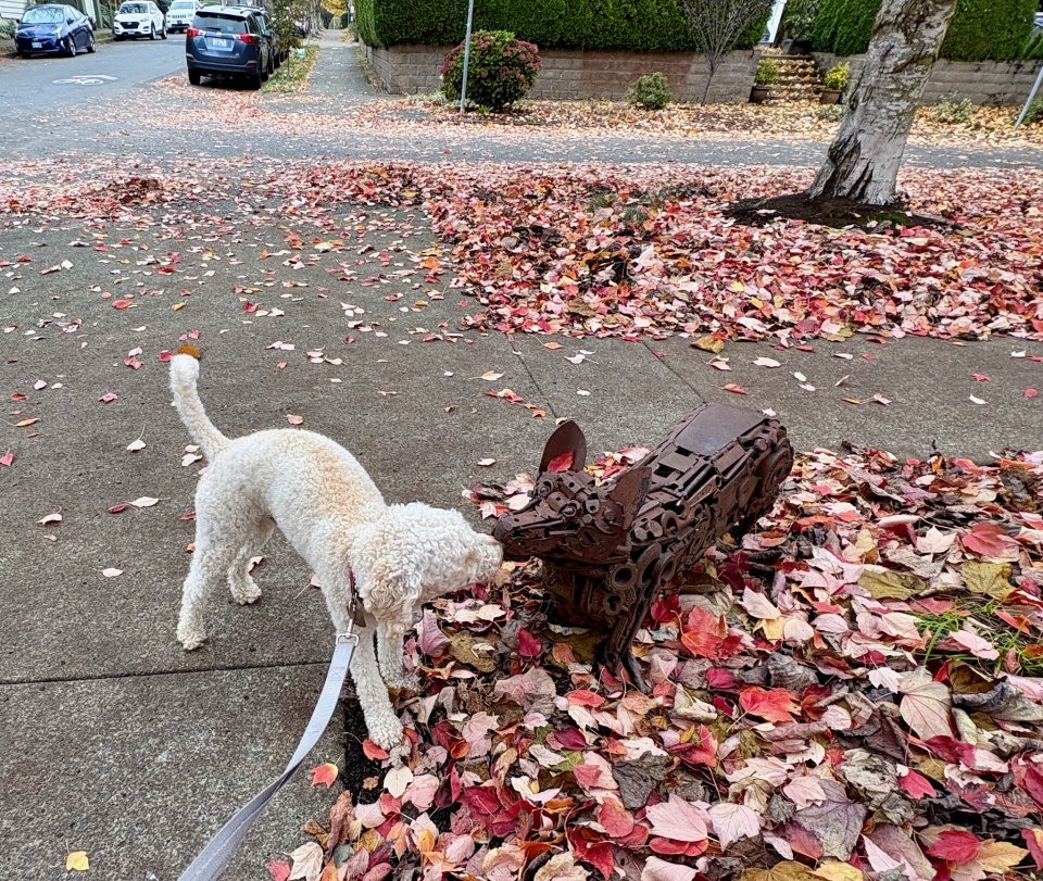 Cold Nose, Strange Smell | RavensRoost | Blipfoto