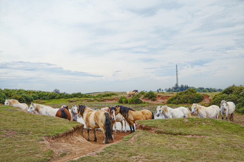 Travel | BobsBlips | Blipfoto