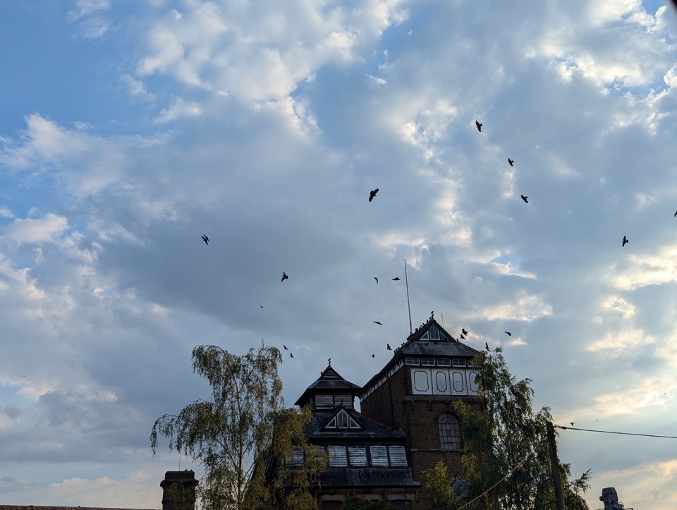 The Shire | Melisseus | Blipfoto