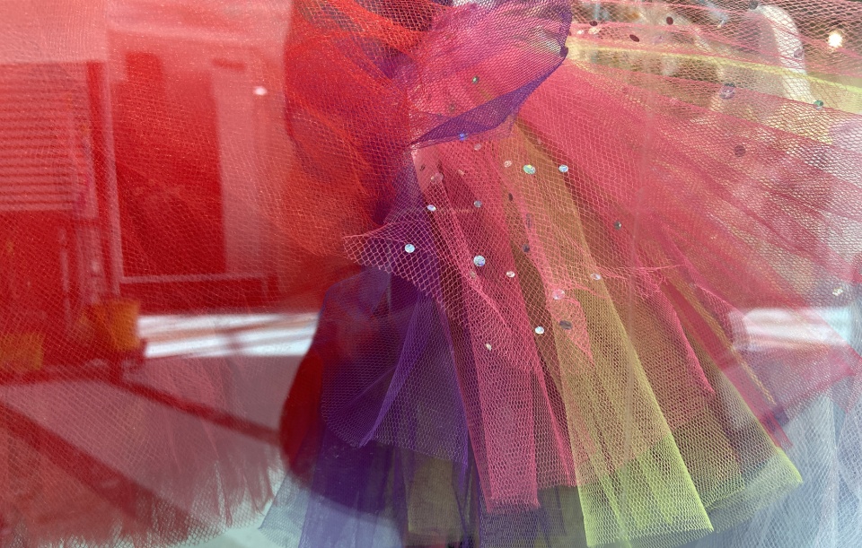 Frothy TuTu’s | DonnaWanna | Blipfoto