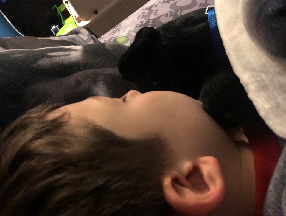 Profile Of A Sleeper | TurtleBug | Blipfoto