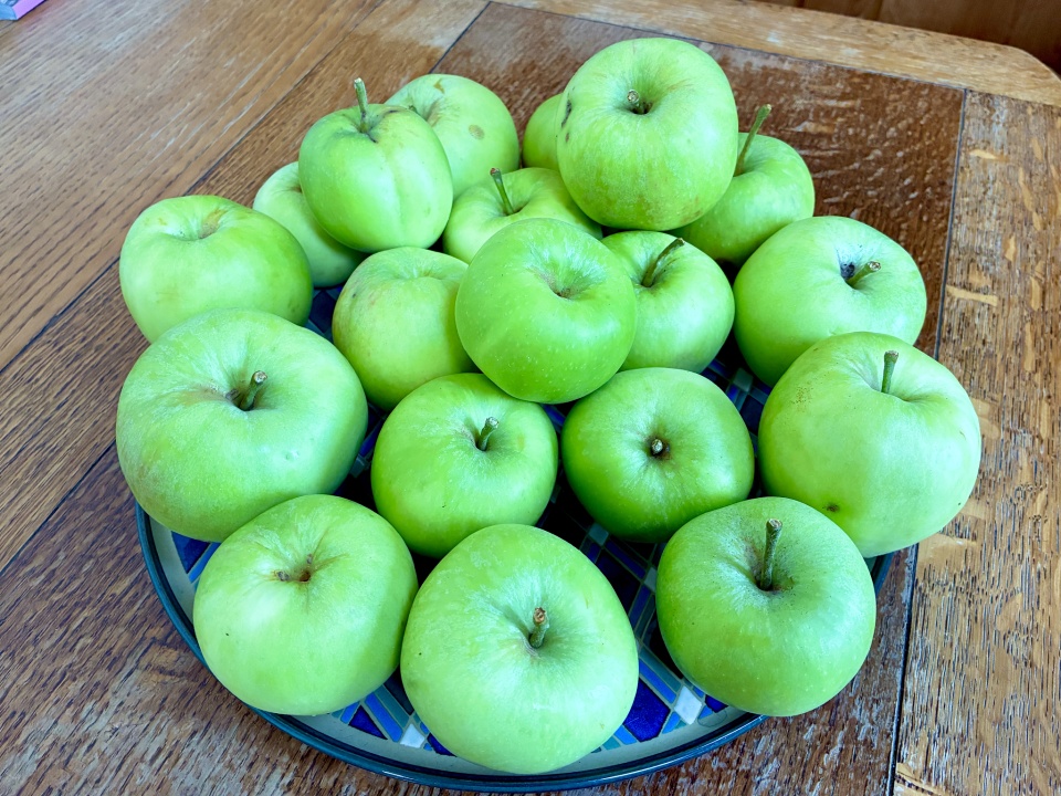 Techi day | Jaybay | Blipfoto