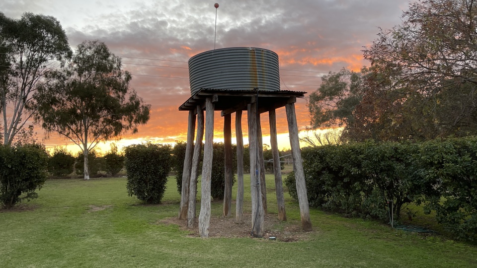 Eurunderee day two | Burradoo | Blipfoto