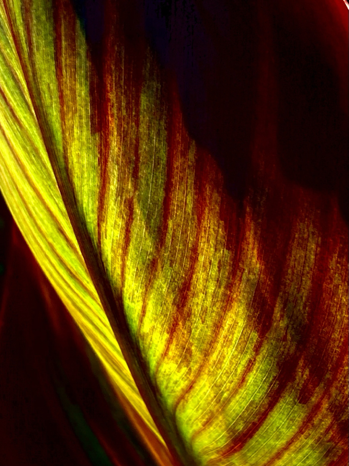 Textures and Patterns | tookie | Blipfoto