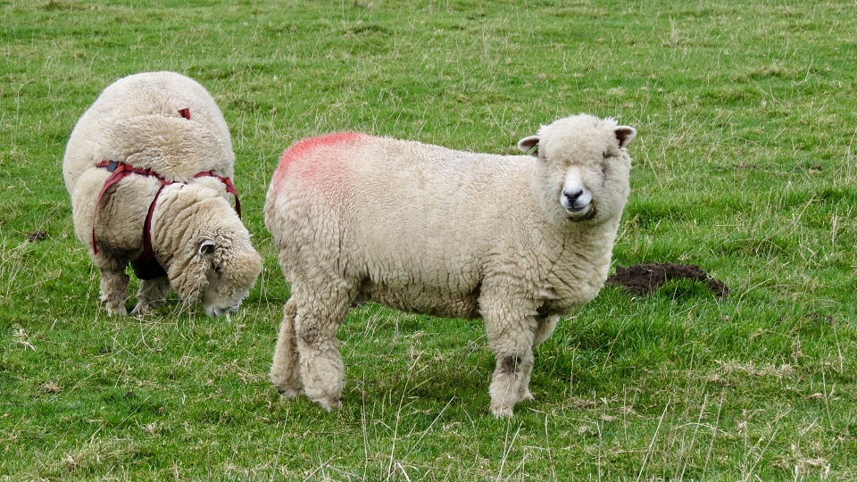 Busy boy | Jaybay | Blipfoto