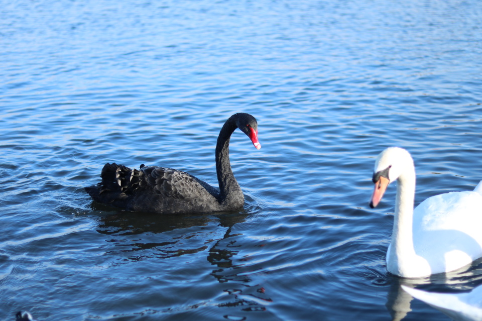 So beautiful | Jaybay | Blipfoto