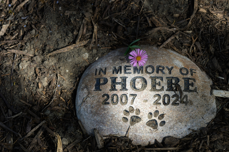 In Memory of... | dbifulco | Blipfoto