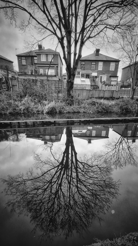 Reflective | dbrereton | Blipfoto