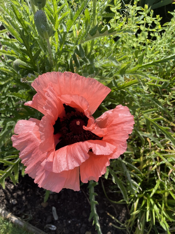 And relax..... | 58jc | Blipfoto