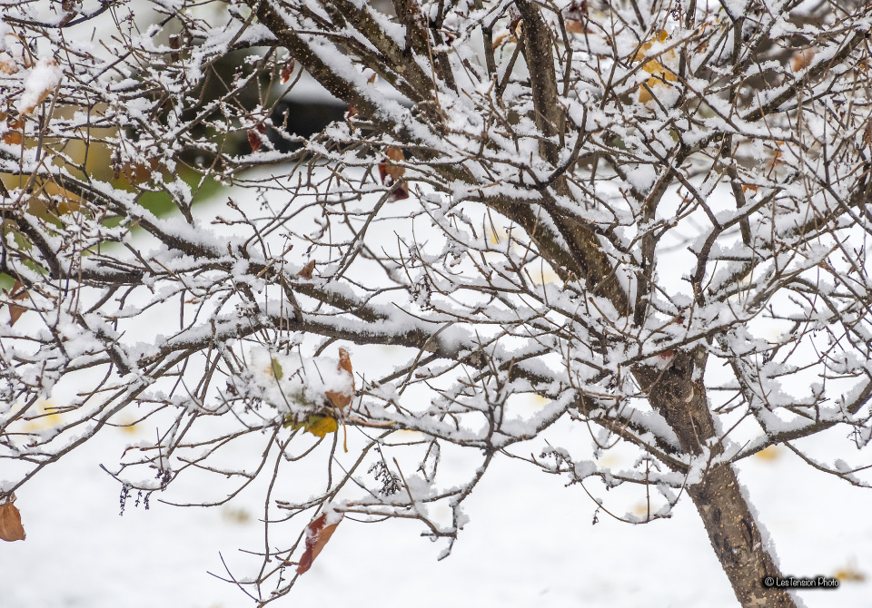 WORM COOLER | LesTension | Blipfoto