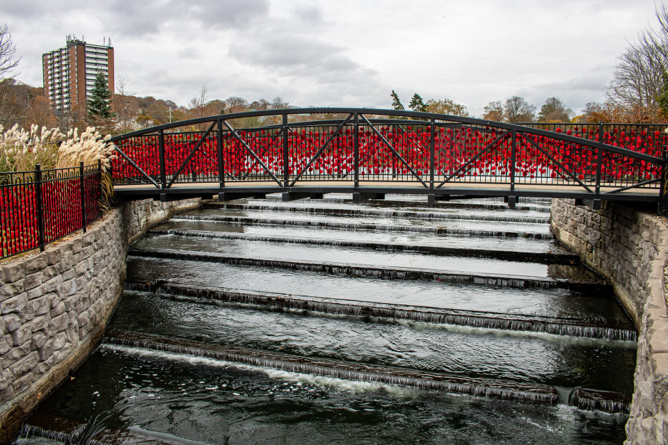 Poppies across the bridge | KathyH58 | Blipfoto